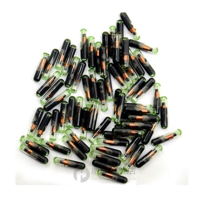 30PCS/Lot Professional ID48 ID48 ID 48 Glass Transponder Ch