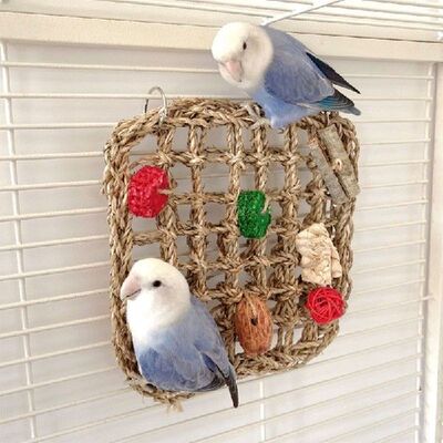 Bird Rope Climbing Net Parrot Swing Foraging Activity Wall