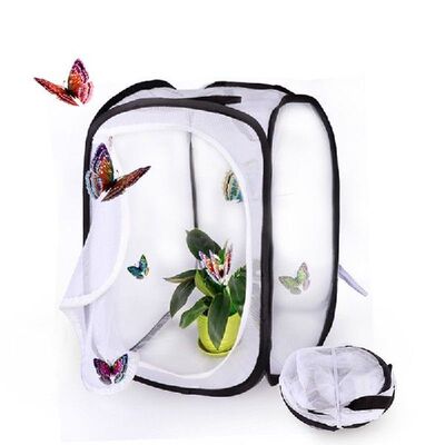 Summer Butterfly Observation Cage Foldable Insect Net