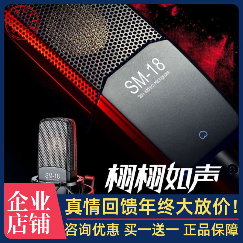 Takstar/得胜 SM18麦克风手机电脑直播唱歌录音话筒套装正品保障_虎窝淘