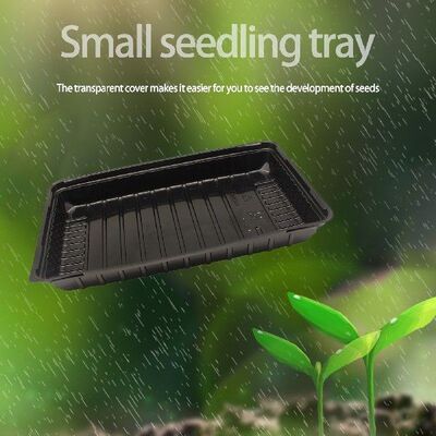 Plastic Seedling Tray Indoor Courtyard Garden Yard Miniature