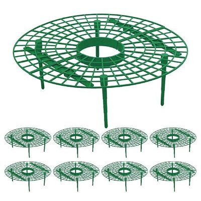 1Pcs/10 Pcs Plastics Strawberry Supports Keep Fruit Fresh