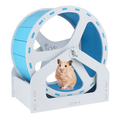 Hamster Wheel Jogging Training Hedgehog Running Wheel