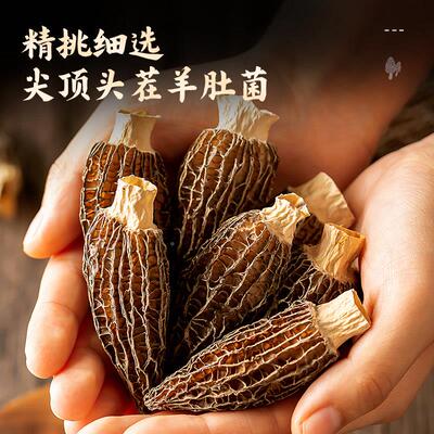 羊肚菌亲礼盒 干货山珍菌节菇新年干过年年货送父母春日走TGB戚高