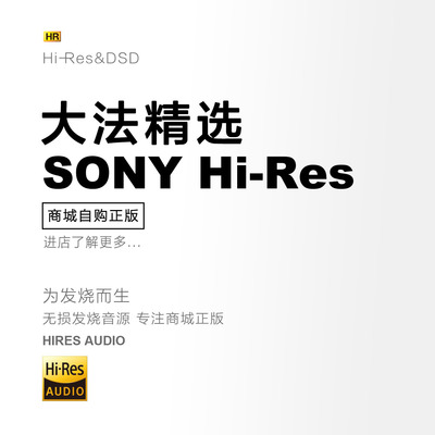 10W+发烧友推荐无损音源