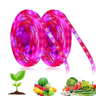Full Spectrum LED Grow Light Phytolamp Grow LED Strip 12V Fl