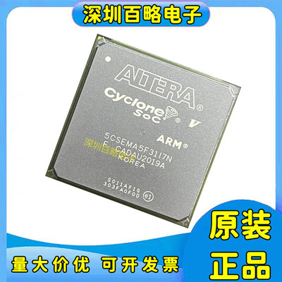 5CSEMA6F31C8N可编程