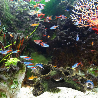 Aquarium Fish Tank Decor Fishes Hole Box House Simulation