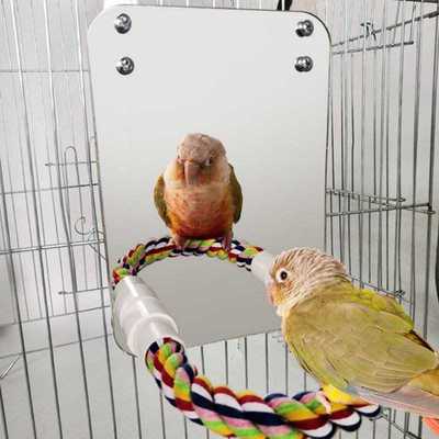 Parrot Pet Fun Mirror Toy Cockatiel Small Birds Parrots Bit