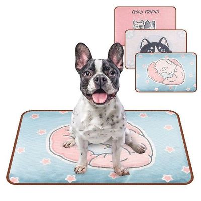 2019 Summer Cooling Mats Blanket Ice Pet Dog Bed Mats For