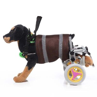Disabled Dog Scooter Wheelchair with Handle for Small Dogs