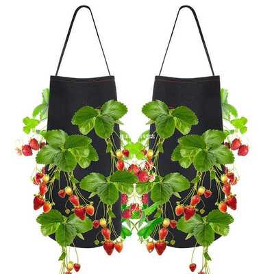 Felt Hanging Potato Strawberry Planter Bags 适用于 Growing P