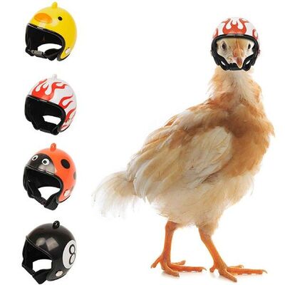 4pc Chicken Helmet Cap Small Pet Hard Hat Bird Duck Quail