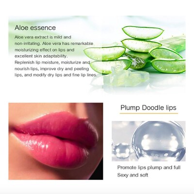 aloe lip plumper oil gloss filler plump booster stain repul