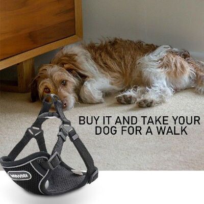 Pet Leash Breathable Comfortable Walking Kitten Dog Chest Ve