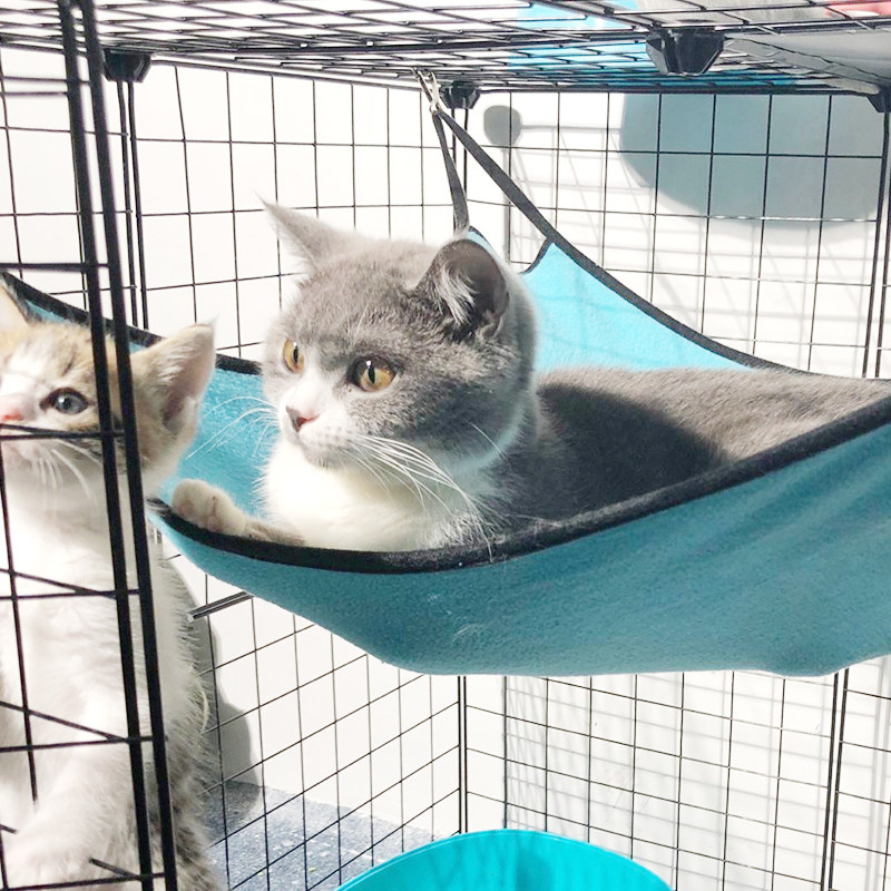猫吊床吸盘式挂窝猫窝夏天晒太阳猫咪吊床窝窗台观景猫床猫咪用品