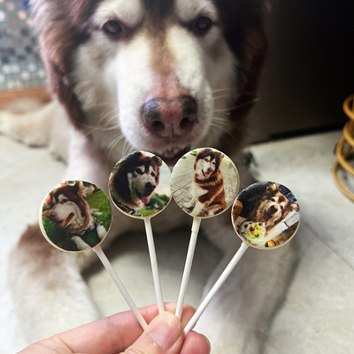 宠物吃的棒棒糖羊奶饼干定制图案