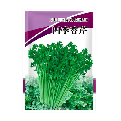 四季小香芹种子大全土芹菜农家春秋季菜种籽阳台盆栽老品种抗耐热