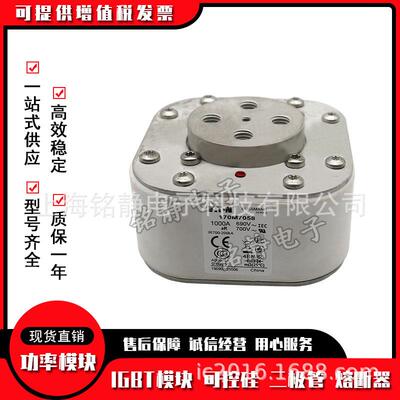 170M7058170M7059170M7060巴斯曼熔断器现货170M7061170M7062