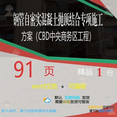 钢管自密实混凝土抛顶结合专项施工方案CB中央商务区工程wordD
