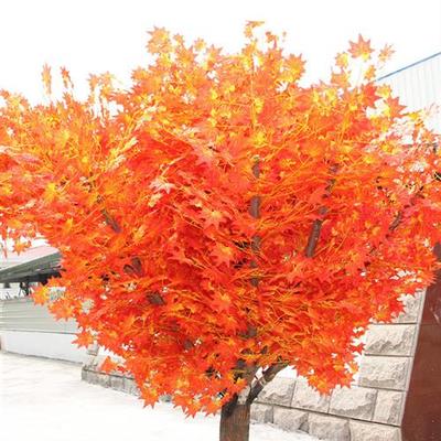 延伸型仿真红枫树工厂出售春节造型枫叶庭院直播造景摆件广场枫树