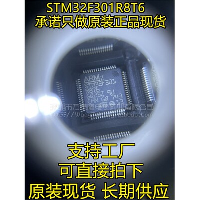 STM32F301R8T6单片机LQ