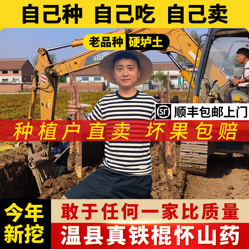 垆土铁棍山药正宗河南焦作温县铁杆怀山怀山药新鲜5斤整箱装