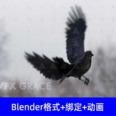 blender影视级写实乌鸦含毛发带骨骼绑定动画3D动物模型vfxgrace