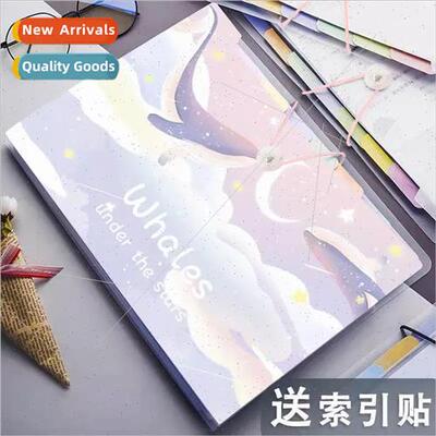 Organ Bag Cute Folder pp Test Paper Organizer Subject Classi