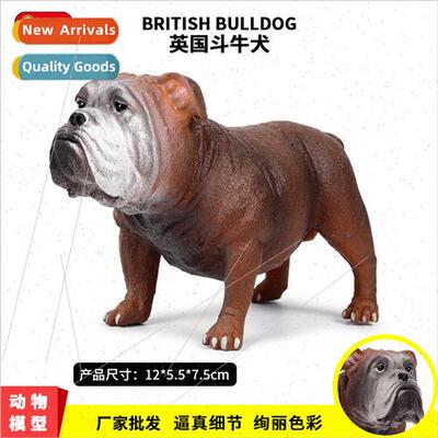 wildlife English bulldog pet dog solid bully dog model dog t
