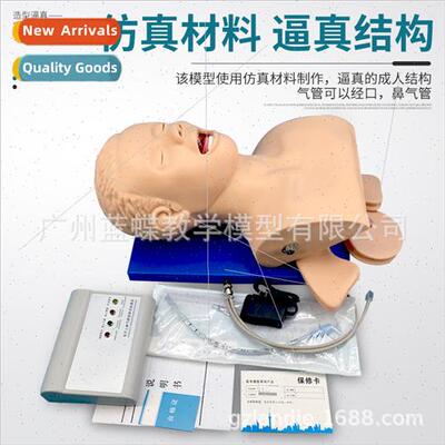 Electronic human tracheal intubation training model Adult tr