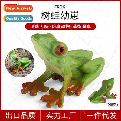 simulation animal toys solid amphibian model red-eyed e frog