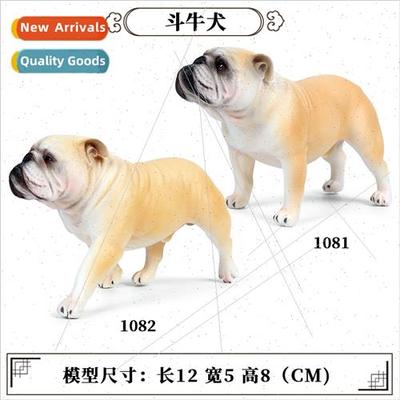 Solid static animal world dog plastic model bulldog pet dog