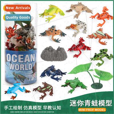 Bucket mini frog toy model amphibian bullfrog tadpole horned