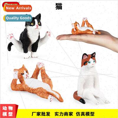 Solid animal static model Persian cat house cat pet cat chil