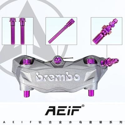 AEIF钛合金TC4螺丝适用布雷博水鸟卡钳螺丝套装M10一体油管排气嘴