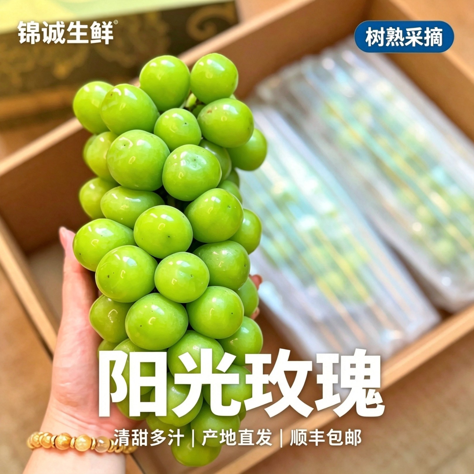 顺丰空运 云南阳光玫瑰葡萄晴王香印青提子新鲜水果现摘礼盒装