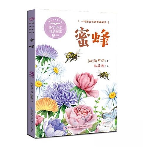 蜜蜂 蜜蜂科普知识 昆虫世界探秘 自然生态解析 养蜂技术指南 农业授粉作用 全彩插图呈现 趣味阅读体验 9787570229727