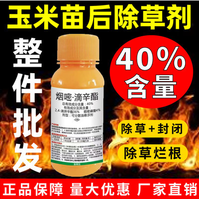 玉米田苗后除草剂整箱批发40%烟嘧磺隆滴辛酯苞米地禾阔双除锄草