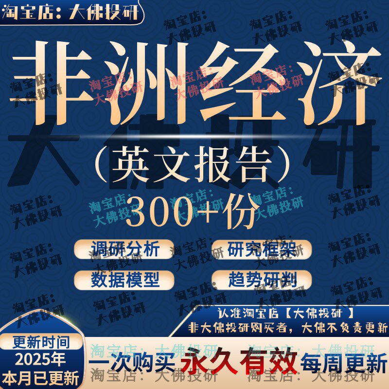 2025非洲经济研究报告英文宏观能源矿产业投资政策东南西北非贸易