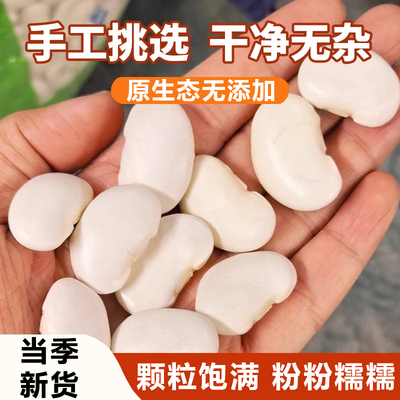 白芸豆官方旗舰店正品新货干货500g新鲜无硫大白豆雪豆粗粮大芸豆