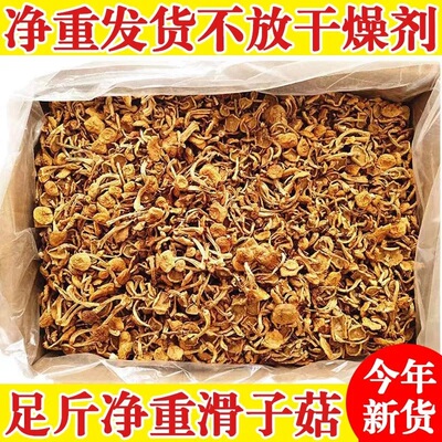 2023年东北大兴安岭新货滑子菇干货袋装小黄蘑香菇类顺滑无熏硫