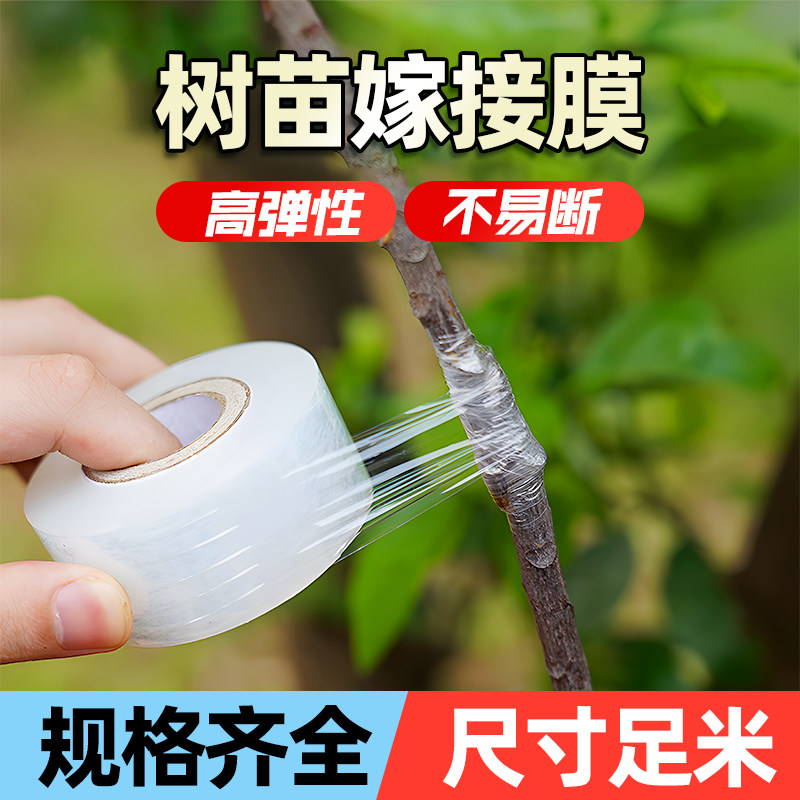 树苗嫁接膜果树专用自粘透明农用加厚pe环保保鲜膜拉伸缠绕膜胶带