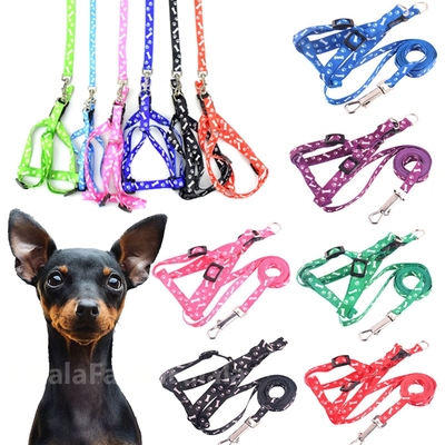 Small Dog Cat Harness Leash Adjustable Vest Collar Puppy Out