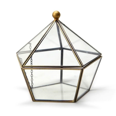 Irregular Glass Geometric Terrarium Box Tabletop Succulent A