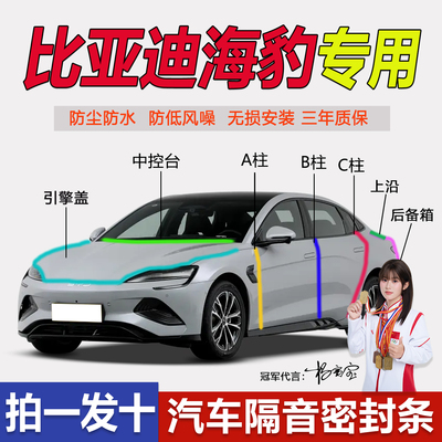 比亚迪宋秦海豹06车门B柱密封条