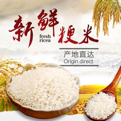 当季江苏泰州南粳新大米