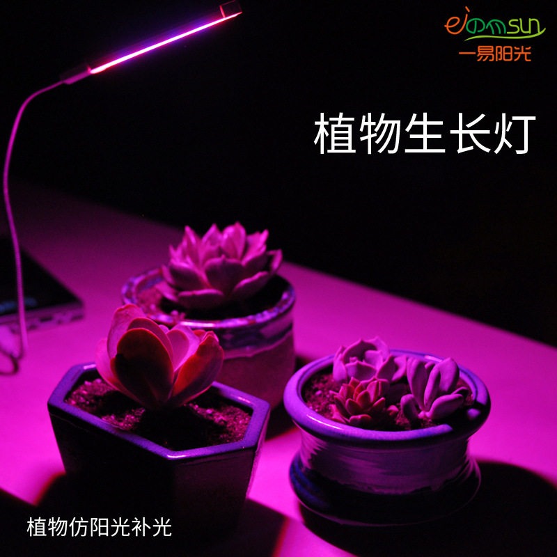 USB led植物生长灯 室内仿太阳光补光灯 全光谱 花卉 多肉红蓝灯