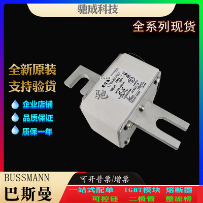 巴斯曼170M6763 170M6764 170M6765 厂家供货批零兼营 紧凑熔断器