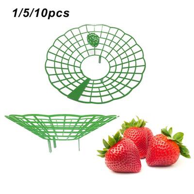 Strawberry Stand Frame Holder Balcony Planting Rack Fruit Su
